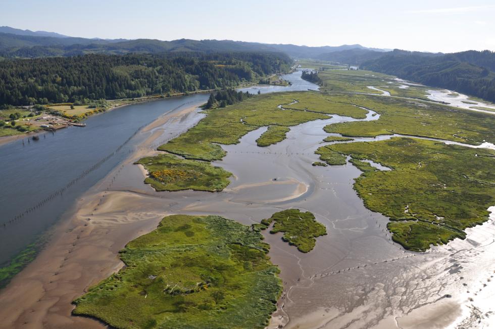 Coast Range – Oregon Conservation Strategy