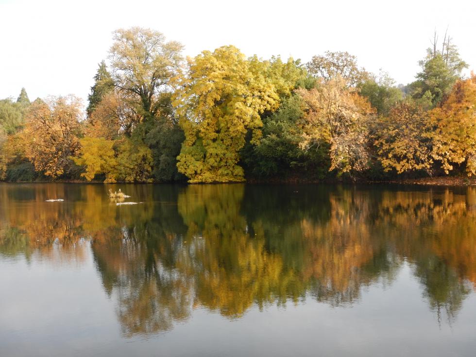 South Fork Umpqua River and Tributaries – Oregon Conservation Strategy