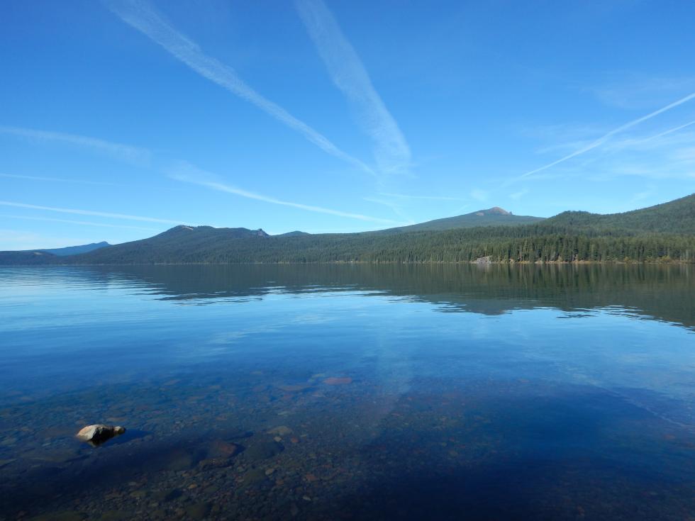 Odell Lake-Davis Lake – Oregon Conservation Strategy