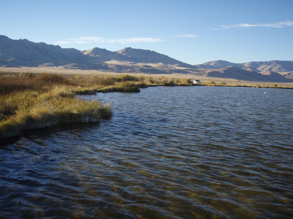 Alvord Lake Basin – Oregon Conservation Strategy
