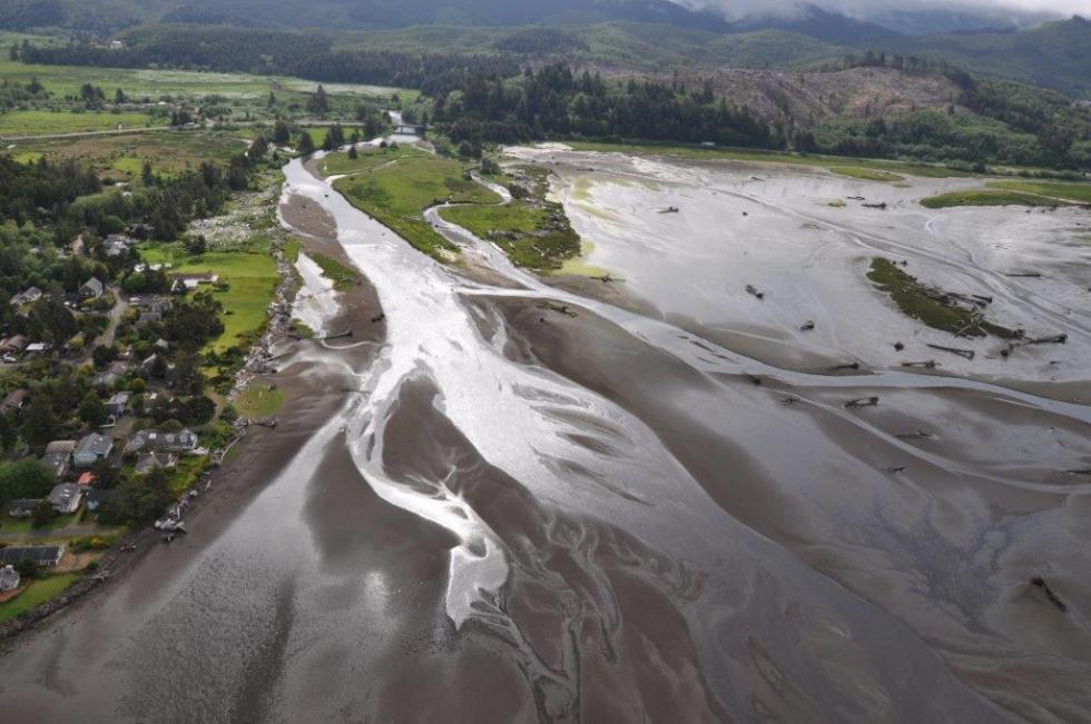 Estuaries – Oregon Conservation Strategy