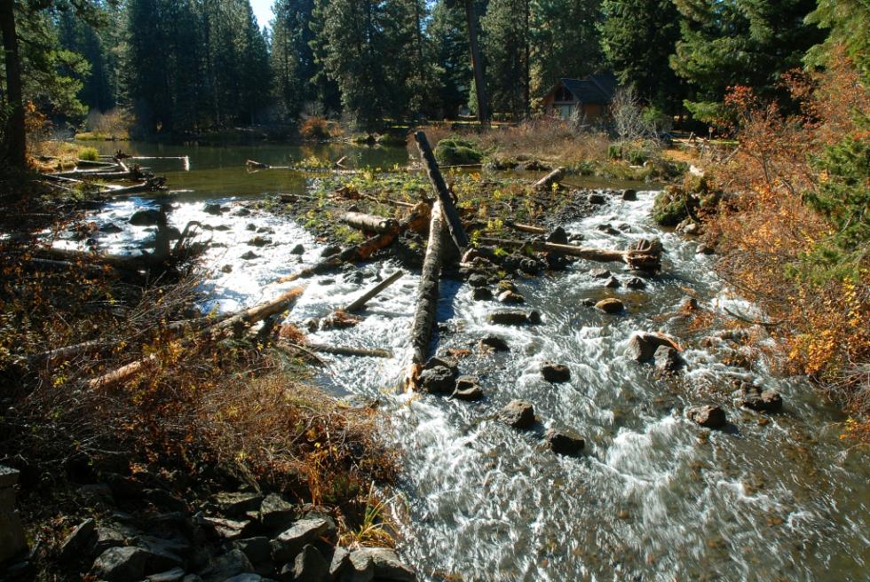 Strategy Spotlight: Metolius River – Oregon Conservation Strategy