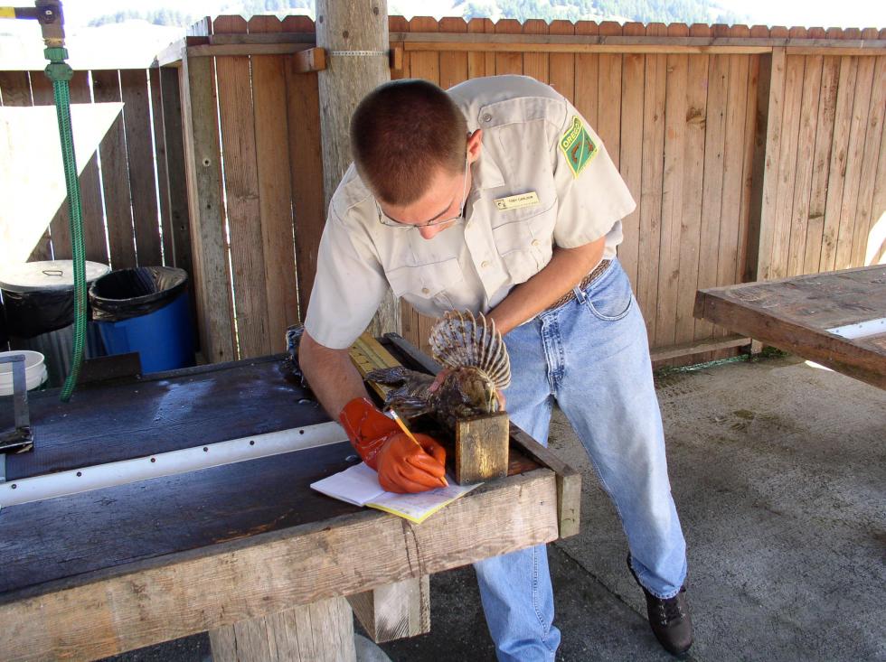 Nearshore Research and Monitoring – Oregon Conservation Strategy